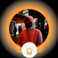 pt200’s Profile - Bugcrowd