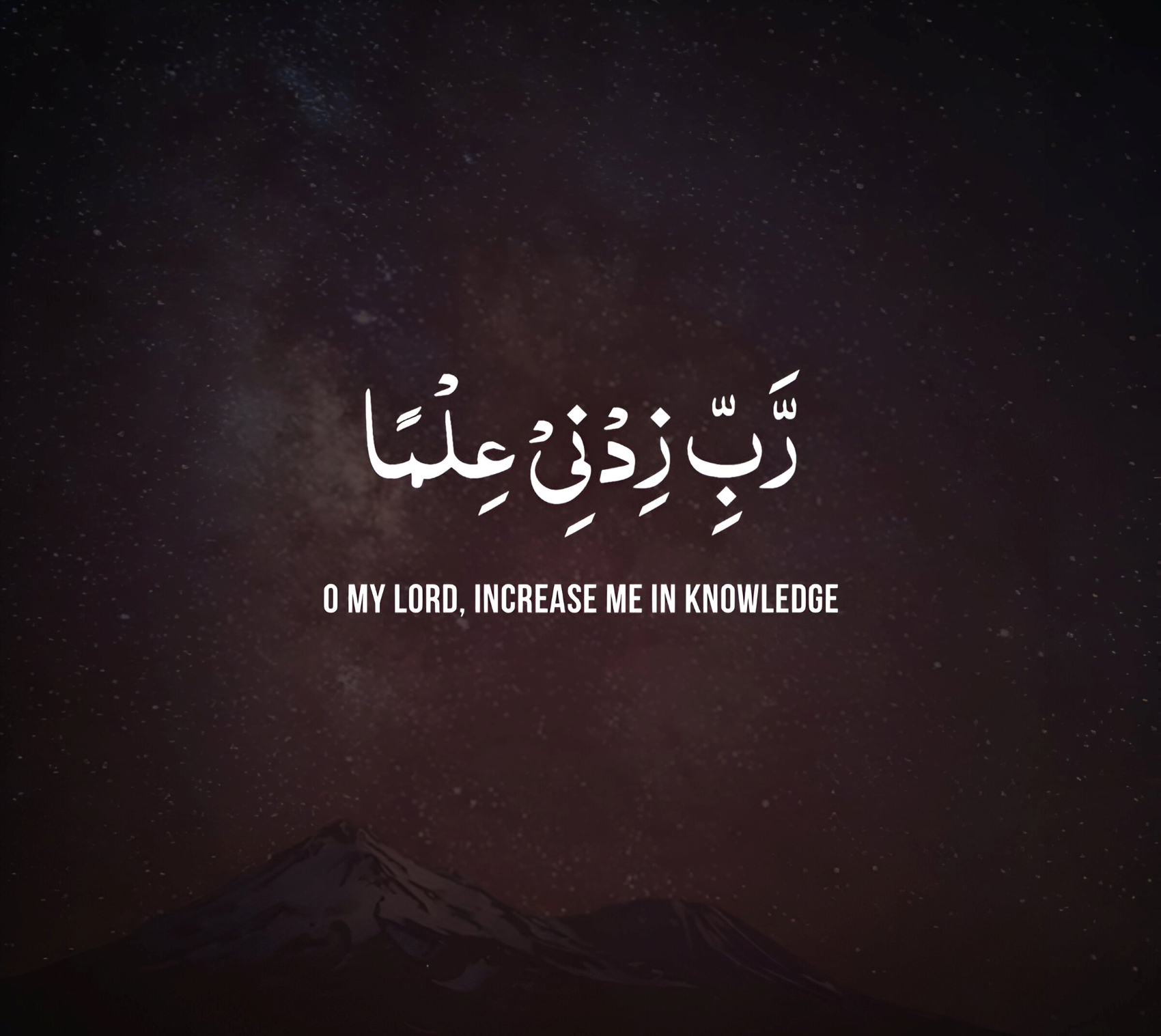 77797’s Profile - Bugcrowd