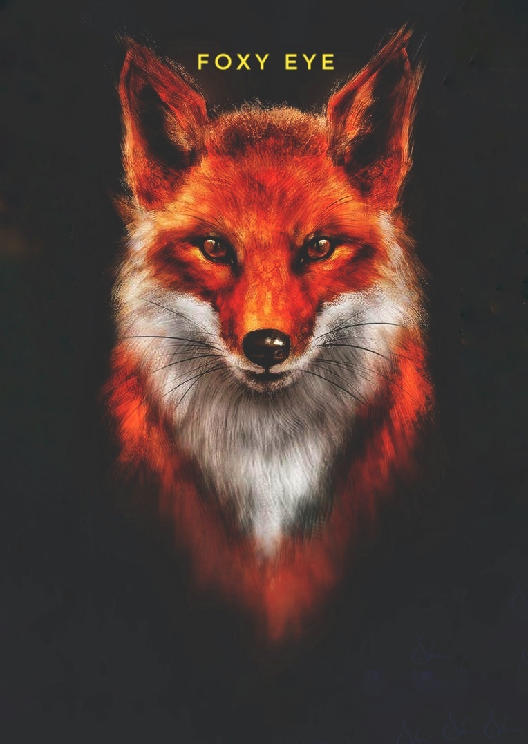 foxy-eye’s Profile - Bugcrowd