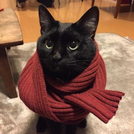 javxfps’s Profile - Bugcrowd