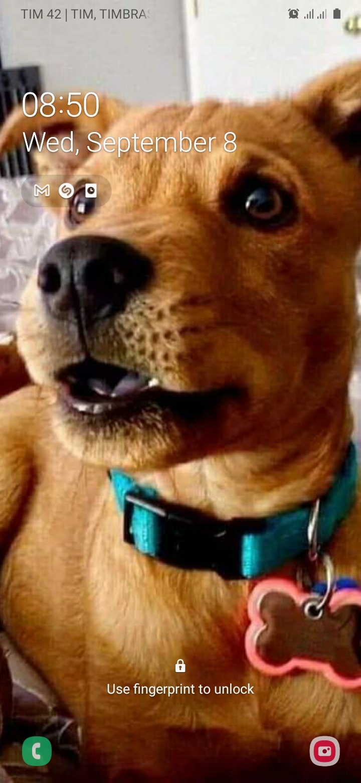 Lobin’s Profile - Bugcrowd