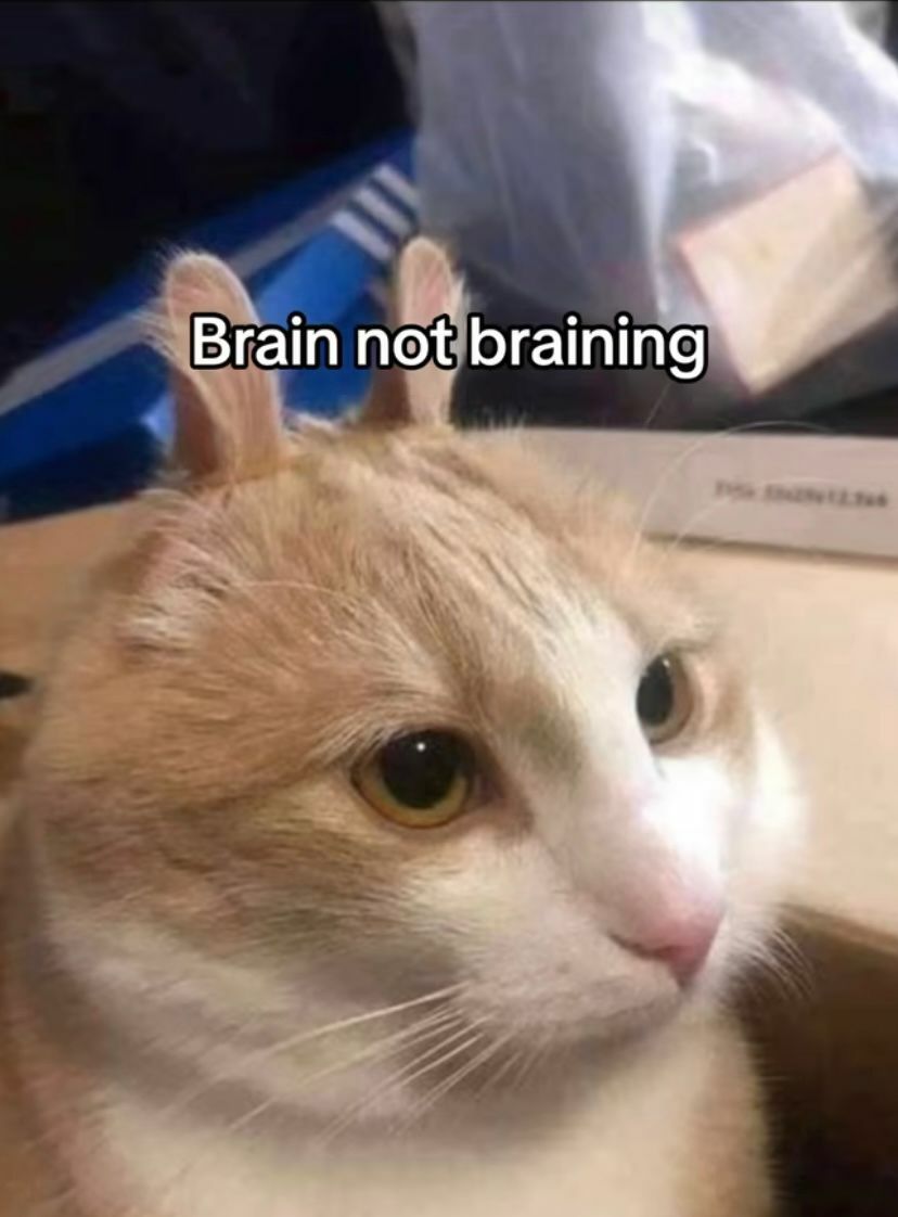 B1AYN’s Profile - Bugcrowd