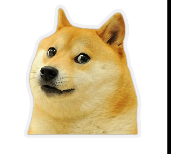 pr4v1n’s Profile - Bugcrowd